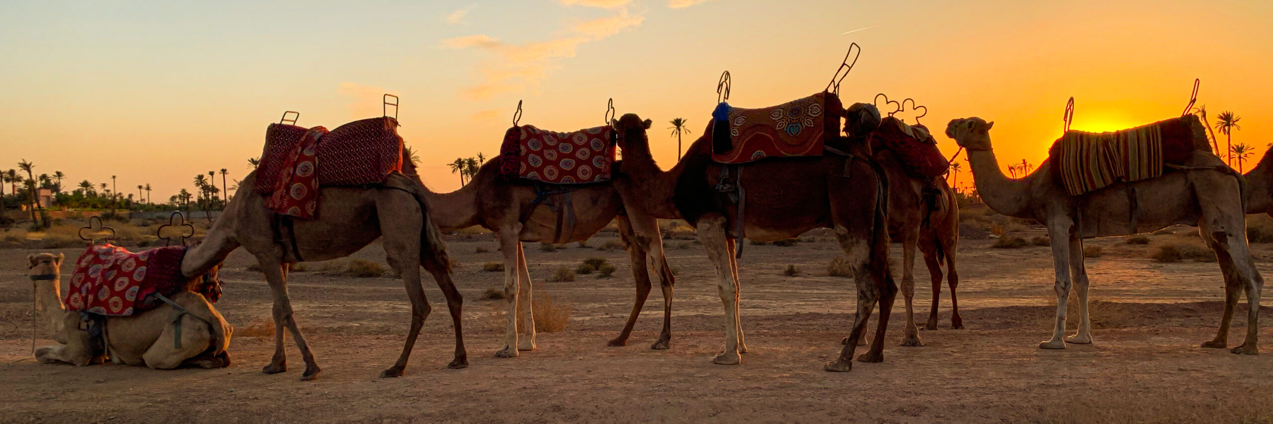 Marrakech Private Tours - Guide Morocco Tours